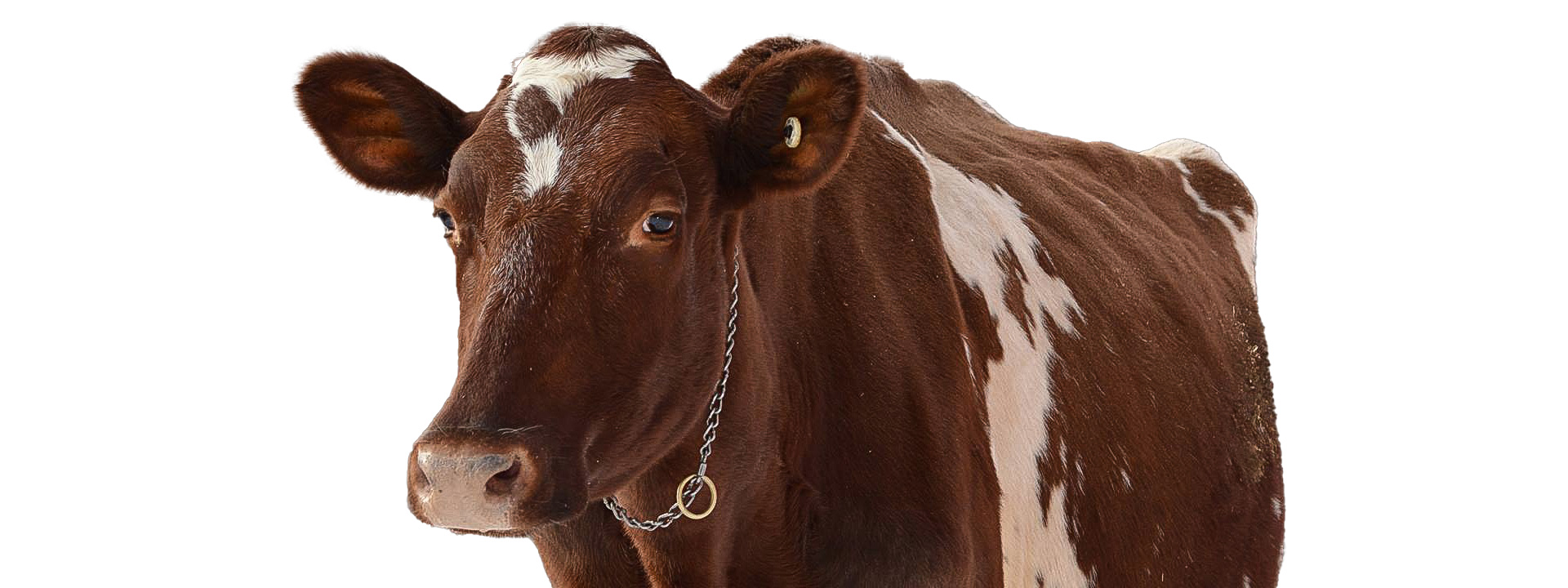 universal-header_1920x720new – AMSS